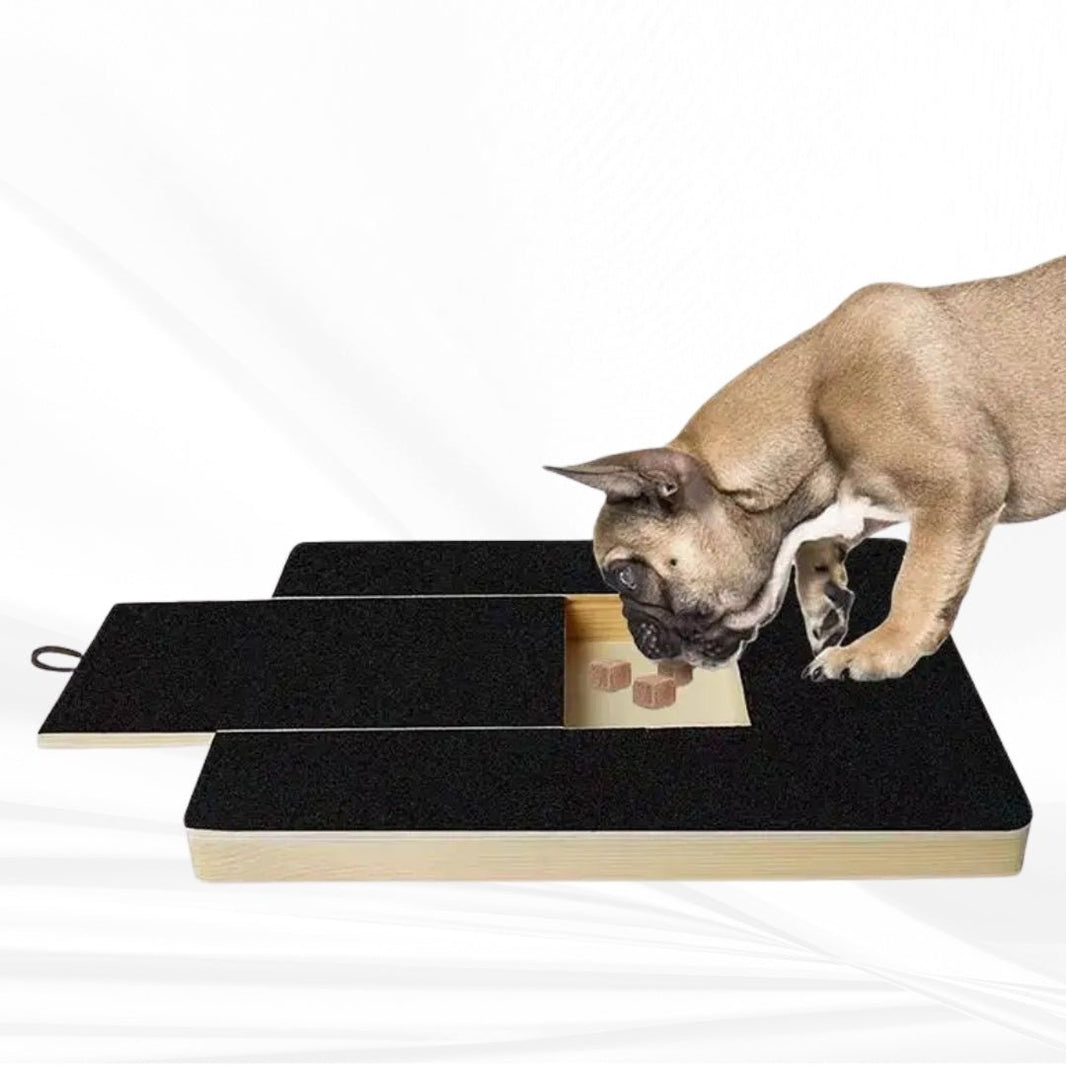 The Truth About Ultrasonic Anti-Barking Devices: Do They Work for Your ...